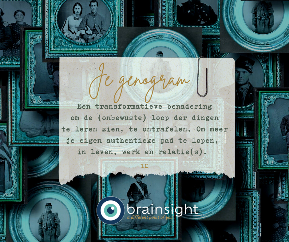 Aanbod | Brainsight - Coachen met het genogram